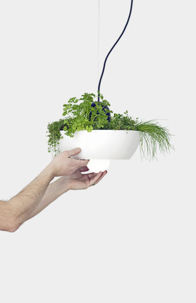 Well Light Planter - ByNature Design