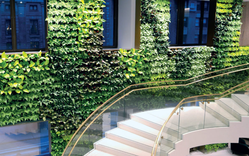 Living Walls - Vertical Gardens | ByNature Design