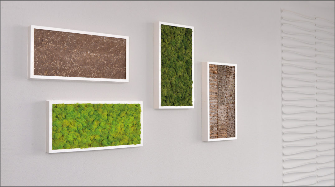 BioMontage frames - ByNature Design