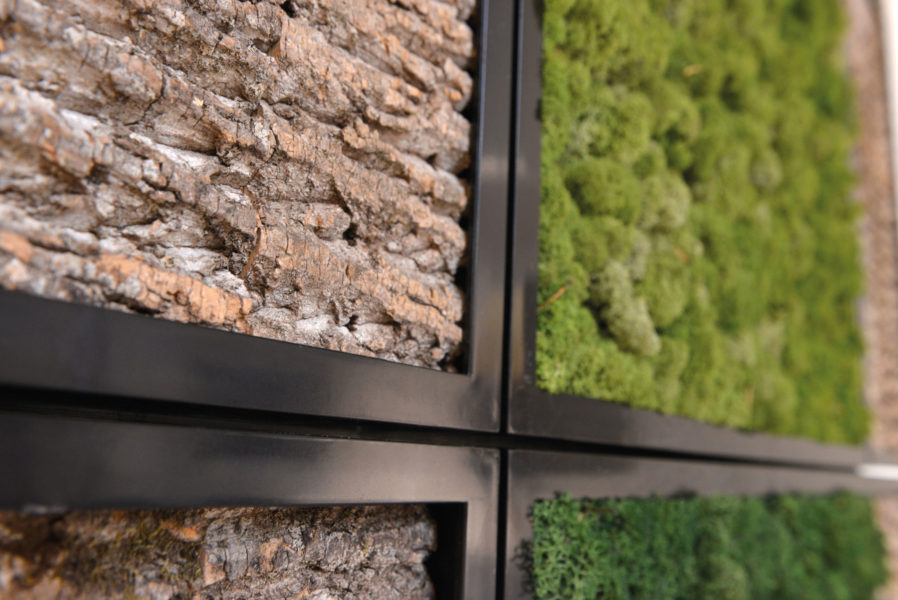 BioMontage frames - ByNature Design