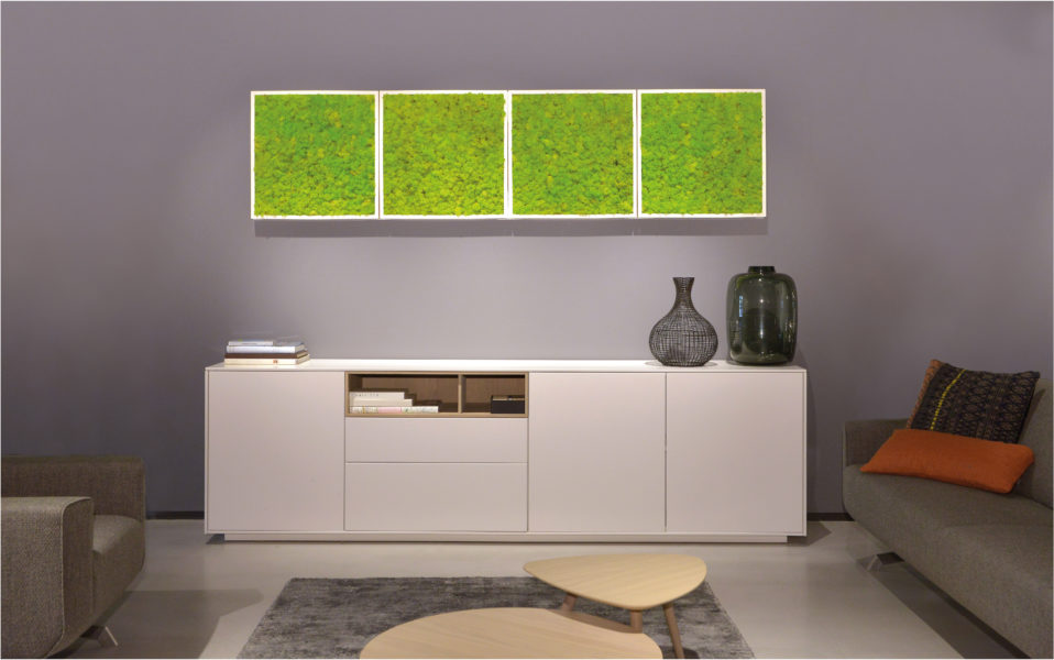 BioMontage frames - ByNature Design