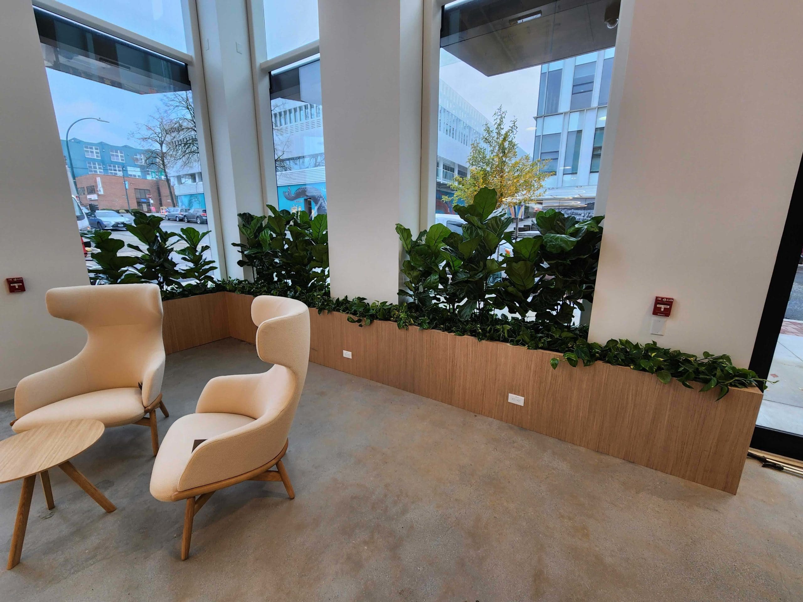 ByNature Design | Preserved Moss Walls, Living Walls, and more.